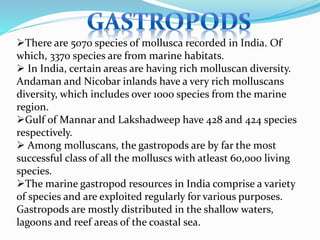 Major Exploited Shellfish Fisheries in India | PPTX