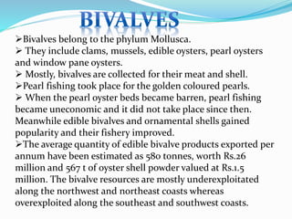 Major Exploited Shellfish Fisheries in India | PPTX | Fishing Sports ...