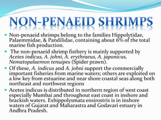 Major Exploited Shellfish Fisheries in India | PPTX