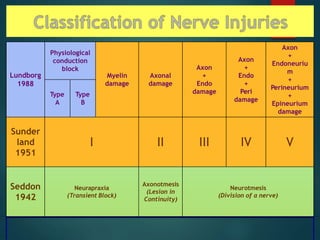 peripheral nerve injury concepts and management | PPTX