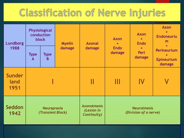 peripheral nerve injury concepts and management | PPTX | Death, Injury, or Military Conflict ...