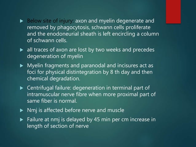 peripheral nerve injury concepts and management | PPTX | Death, Injury, or Military Conflict ...