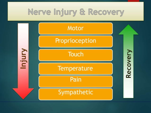 peripheral nerve injury concepts and management | PPTX | Death, Injury, or Military Conflict ...