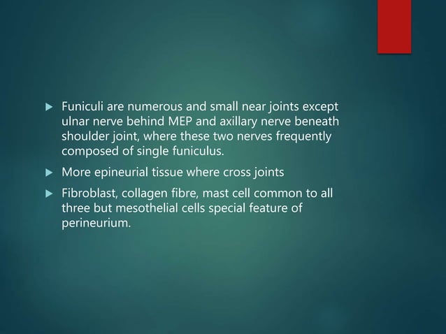 peripheral nerve injury concepts and management | PPTX | Death, Injury, or Military Conflict ...