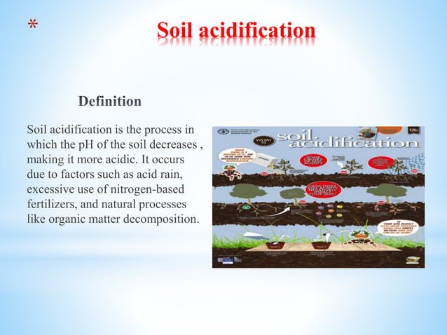 Soil solidification, acidification, alkalization and pollution | PPTX | Agriculture | Industries