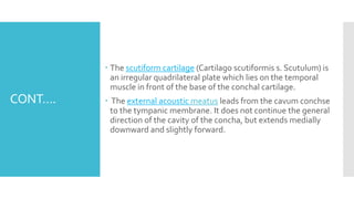 Anatomy of Goat Ear | PPTX