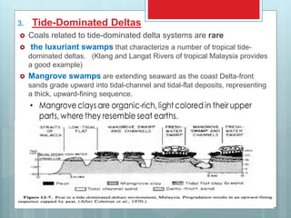 alluvial-fan coal | PPTX