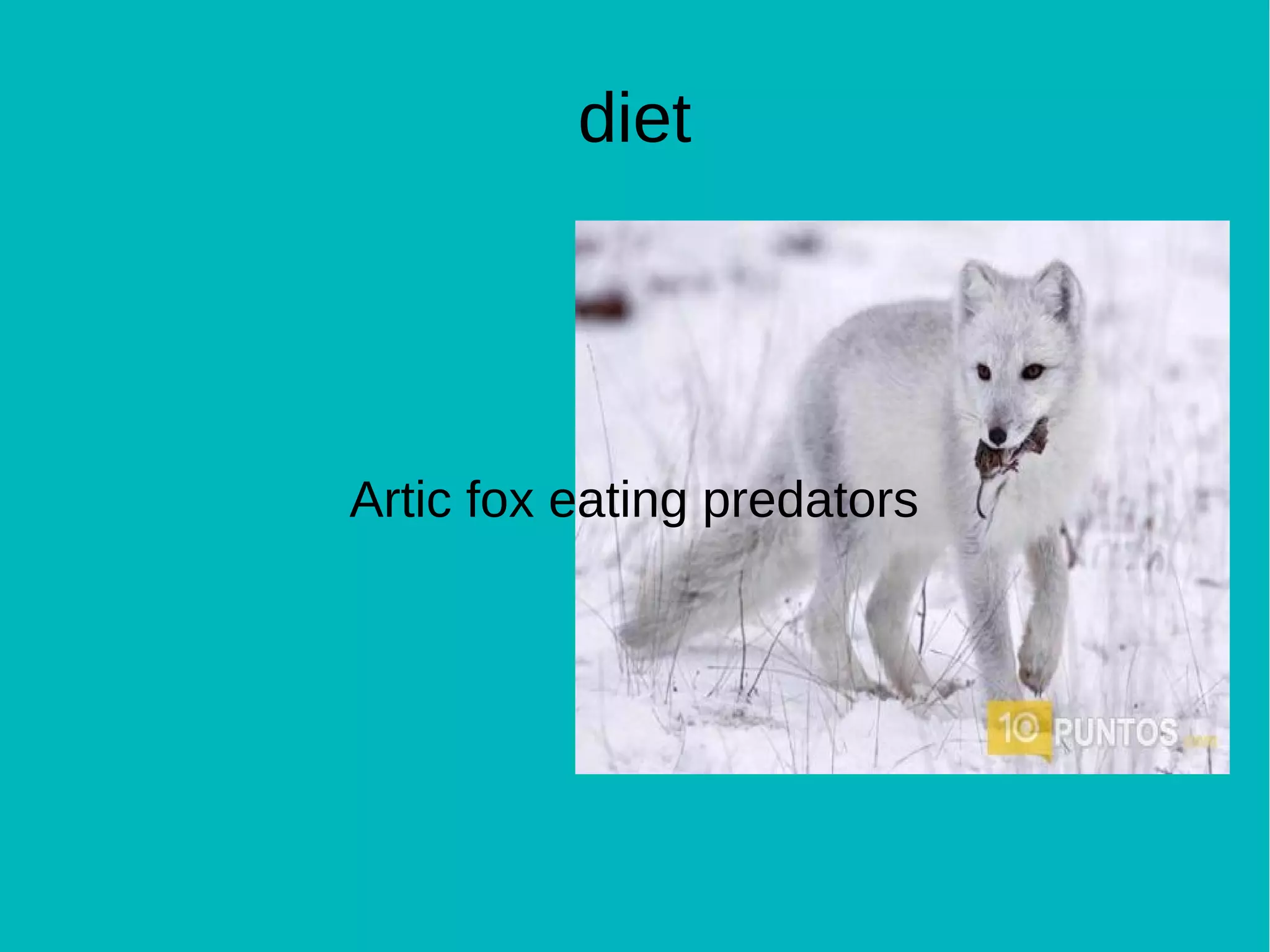 Yassin manu y briyan | PPT