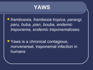 Yaws | PPT