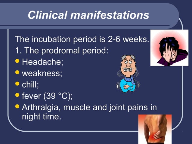 Yaws | PPT | Infectious Diseases | Diseases and Conditions