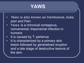 Yaws.pptx | Infectious Diseases | Diseases and Conditions
