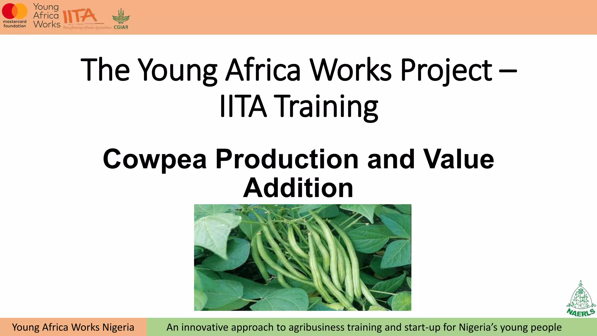 I-Youth training on Cowpea Value Chain | PPTX