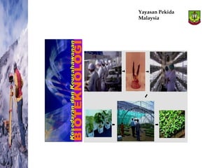 yayasan pekida malaysia | PPT