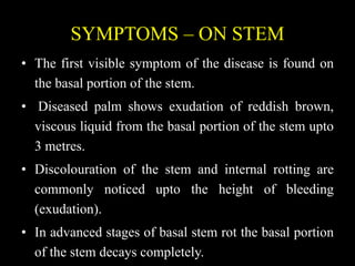 Coconut Ganoderma Wilt | PPTX