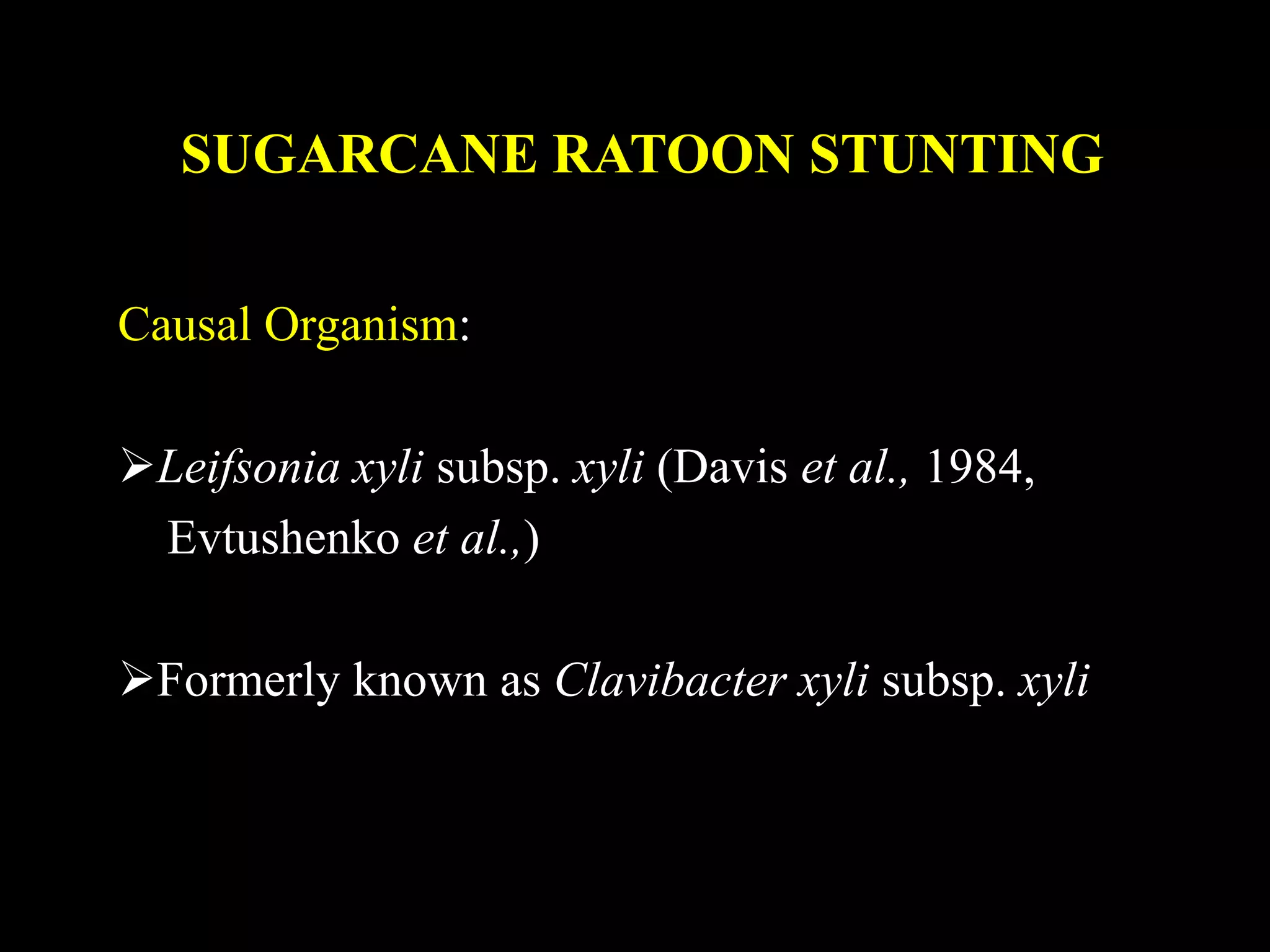 Sugarcane Ratoon Stunting Disease | PPTX