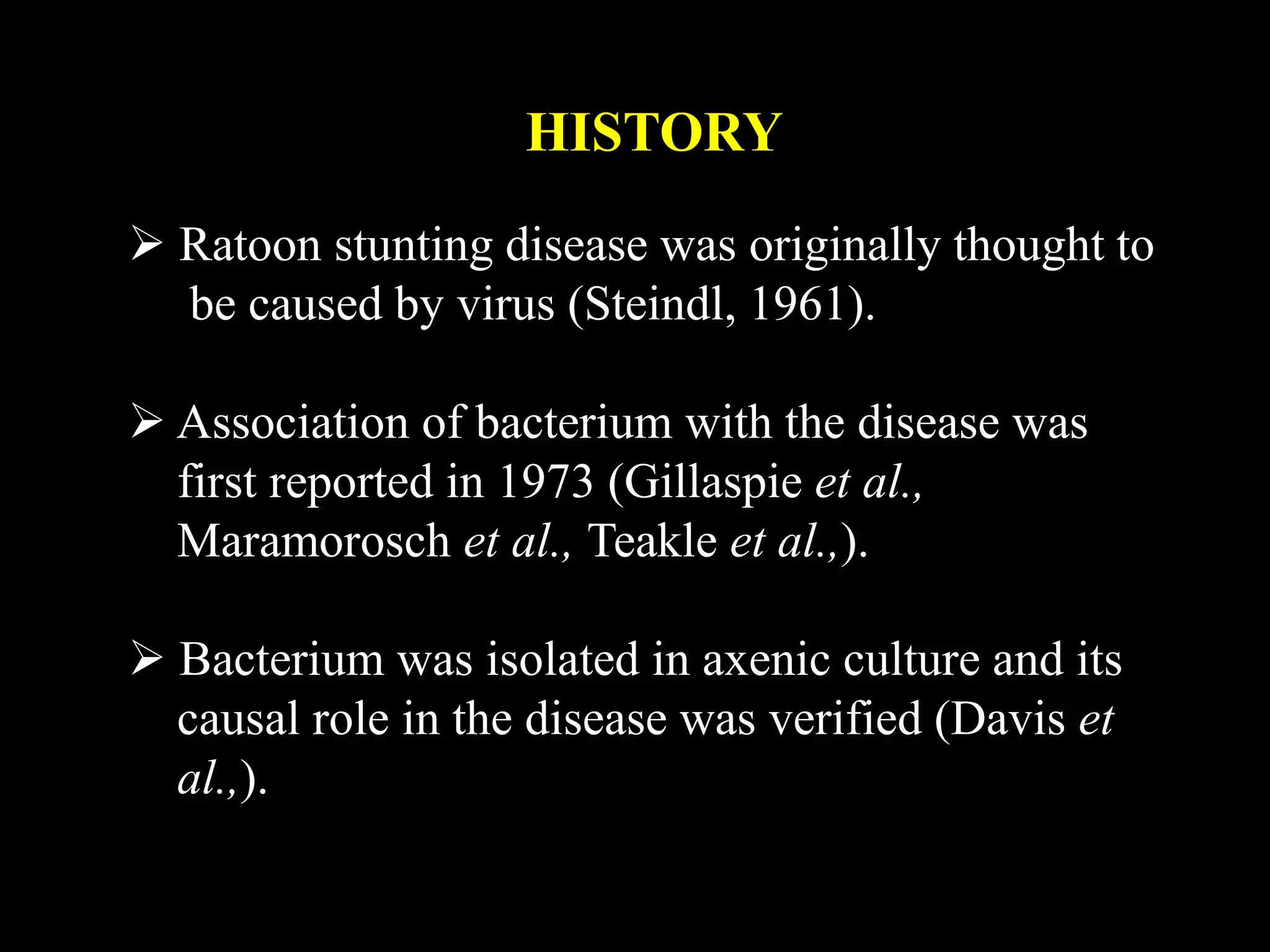 Sugarcane Ratoon Stunting Disease | PPTX