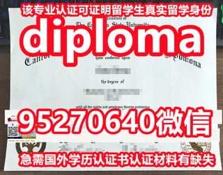 UofS毕业证成绩单 | PDF