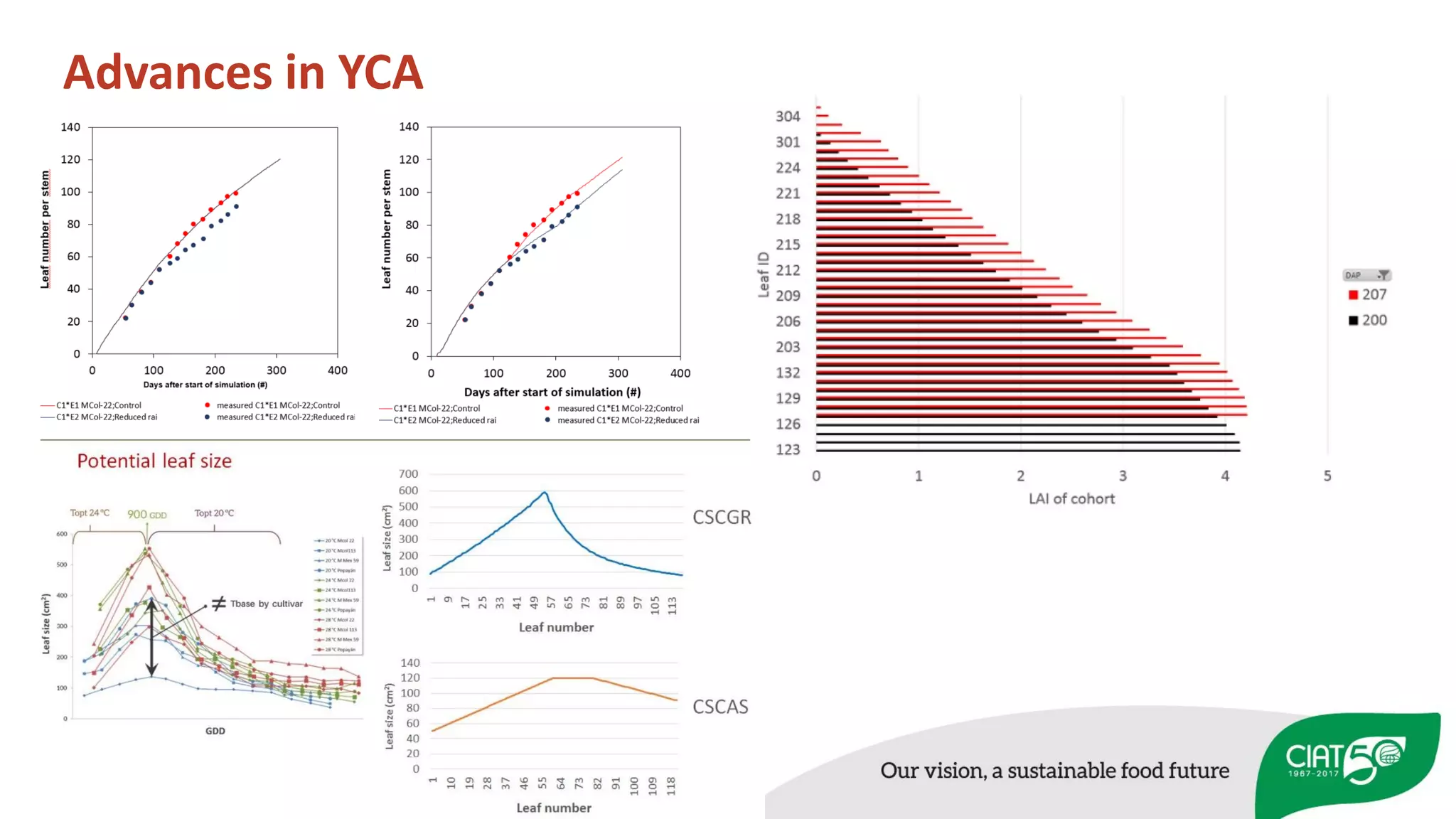 YCA: A process-based model for improving cassava crop management in the tropics | PDF