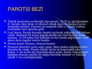 tükrük bezi hastalıkları (fazlası için www.tipfakultesi.org ) | PPT