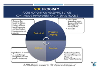 Voice of Customers programs in B2B | PDF