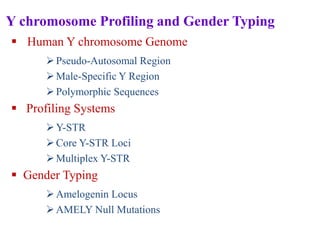 The role of Y chromosome and mitochondrial DNA in forensic science | PPTX