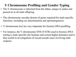 The role of Y chromosome and mitochondrial DNA in forensic science | PPTX