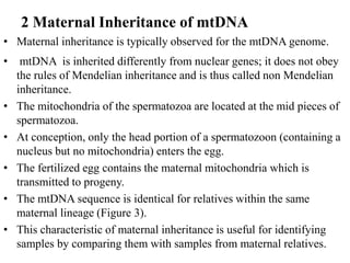 The role of Y chromosome and mitochondrial DNA in forensic science | PPT