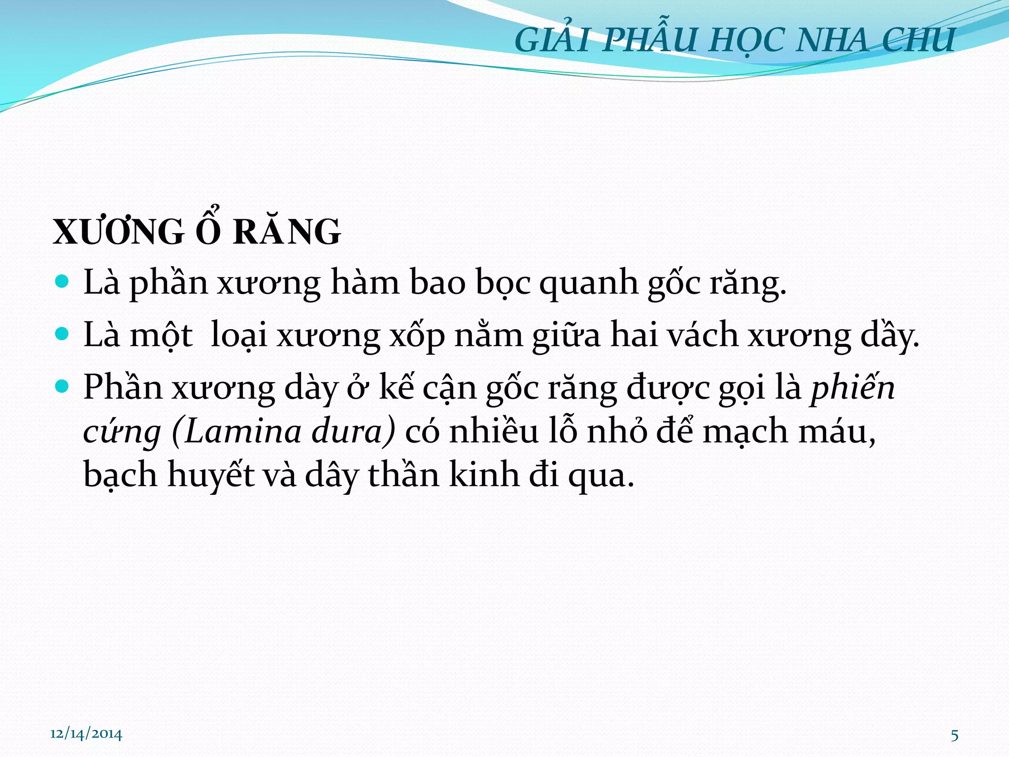NHA CHU HỌC | PDF