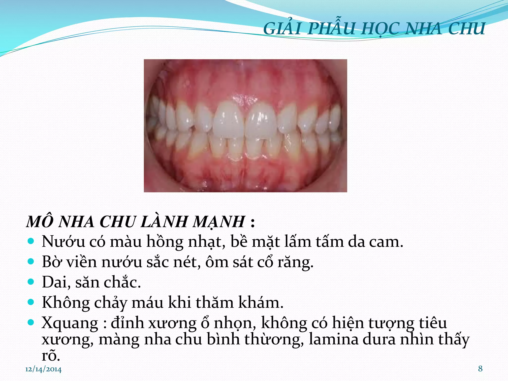 NHA CHU HỌC | PDF