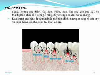 NHA CHU HỌC | PDF