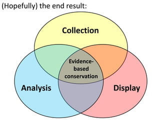 Big Data and Wildlife Conservation | PPT