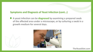 Yeast Infection Causes And Cures | PPTX