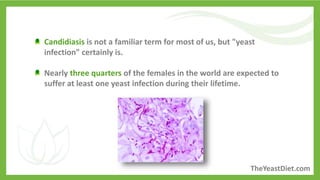 Yeast Infection Causes And Cures | PPTX