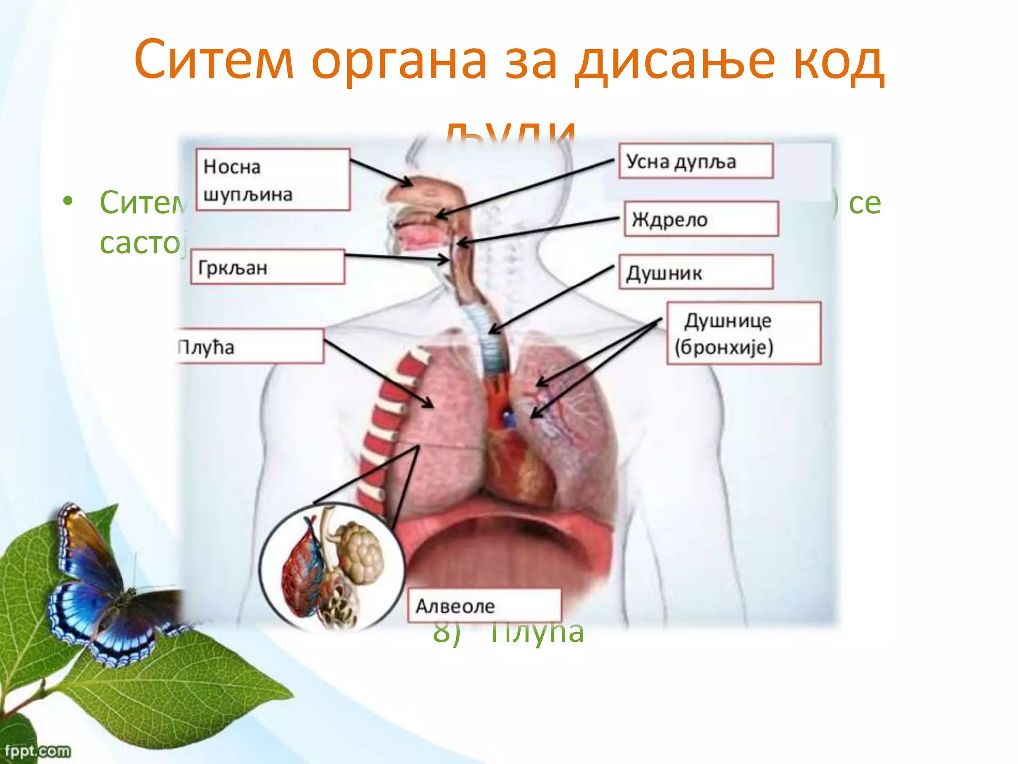 Disanje.pptx | Free Download