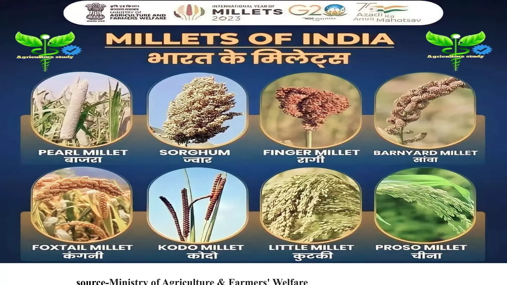 Introduction_to_millet_and_its_role_in_nutrition_demand_of_india_by ...