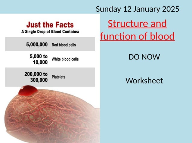 Year-10-Blood-Composition.pptx blood composition | PPTX