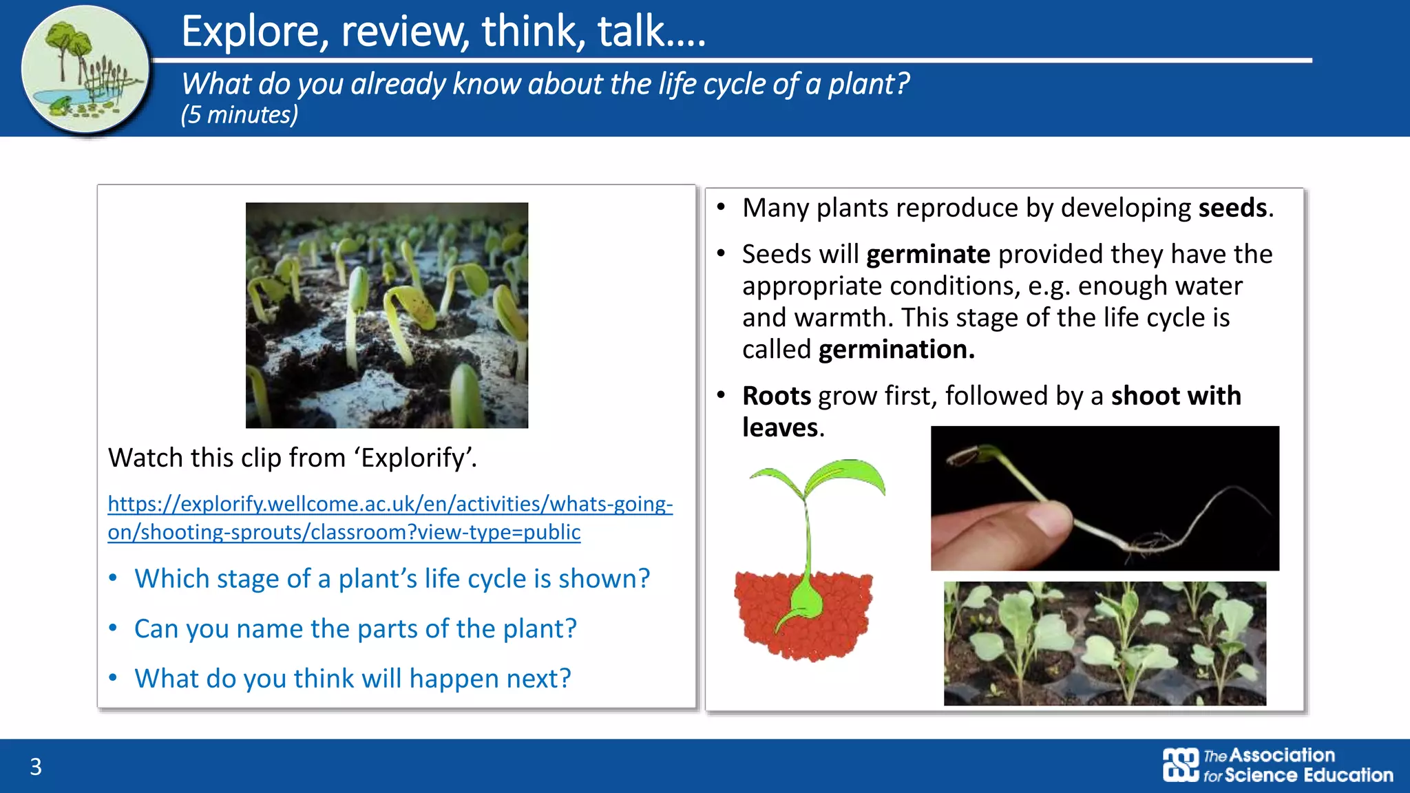 year-5-lesson-1-asexual-and-sexual-plant-reproduction.pptx