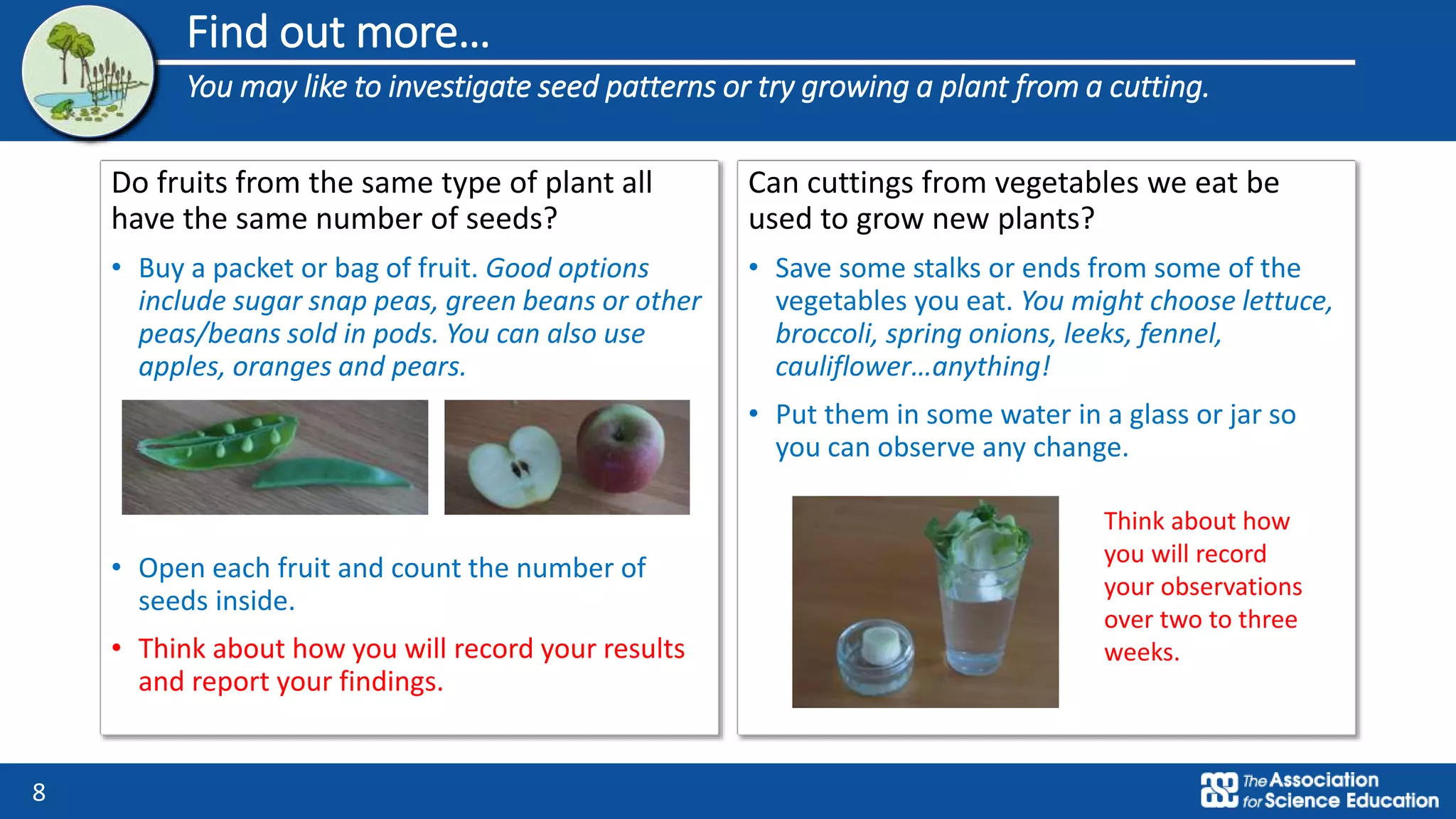 year-5-lesson-1-asexual-and-sexual-plant-reproduction.pptx
