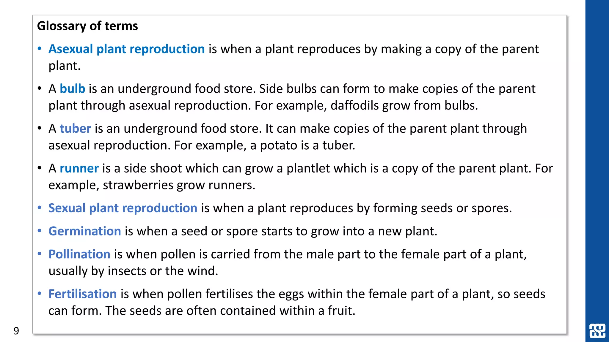 year-5-lesson-1-asexual-and-sexual-plant-reproduction.pptx