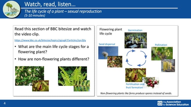 year-5-lesson-1-asexual-and-sexual-plant-reproduction.pptx ...