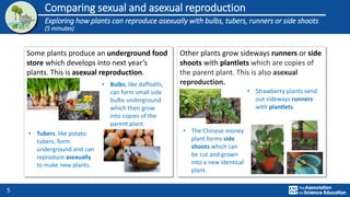 year-5-lesson-1-asexual-and-sexual-plant-reproduction.pptx