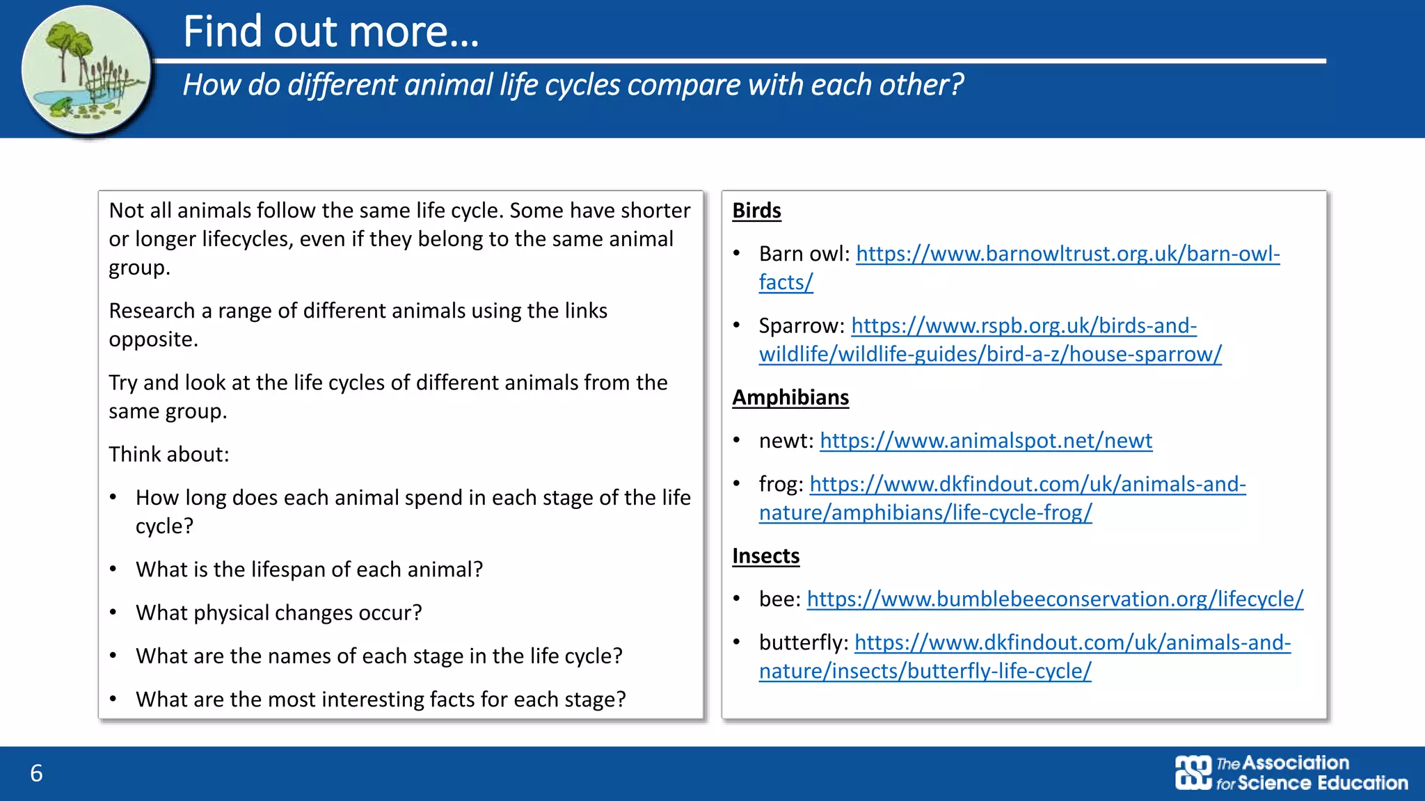 year-5-lesson-4-animal-life-cycles.pptx