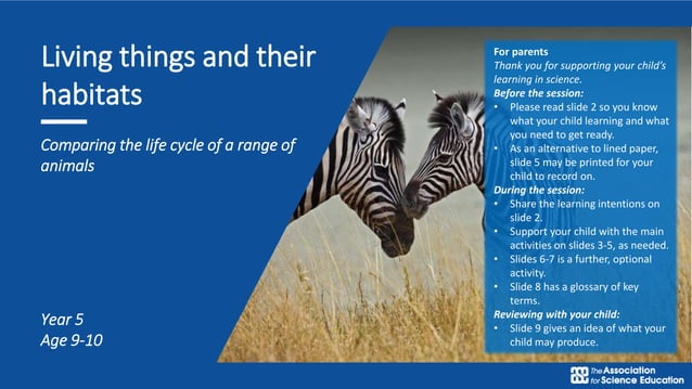 year-5-lesson-4-animal-life-cycles.pptx | Biological Sciences | Science