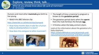 year-5-lesson-5-gestation-of-mammals.pptx