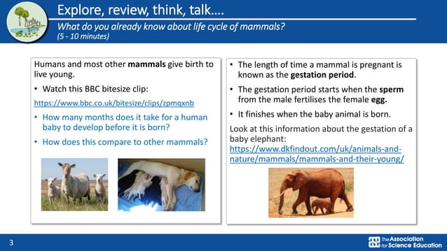 year-5-lesson-5-gestation-of-mammals.pptx