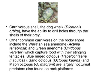 Year Nine Marine Excursion | PPT