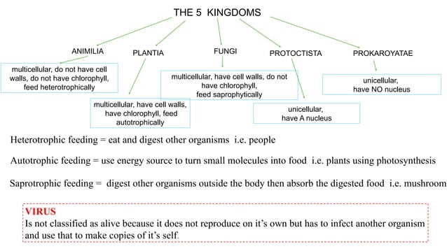 Year 10 IGCSe bio unit 1 characteristics and classification.pptx