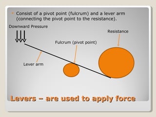 Year 11 biomechanics with levers, force summation | PPT