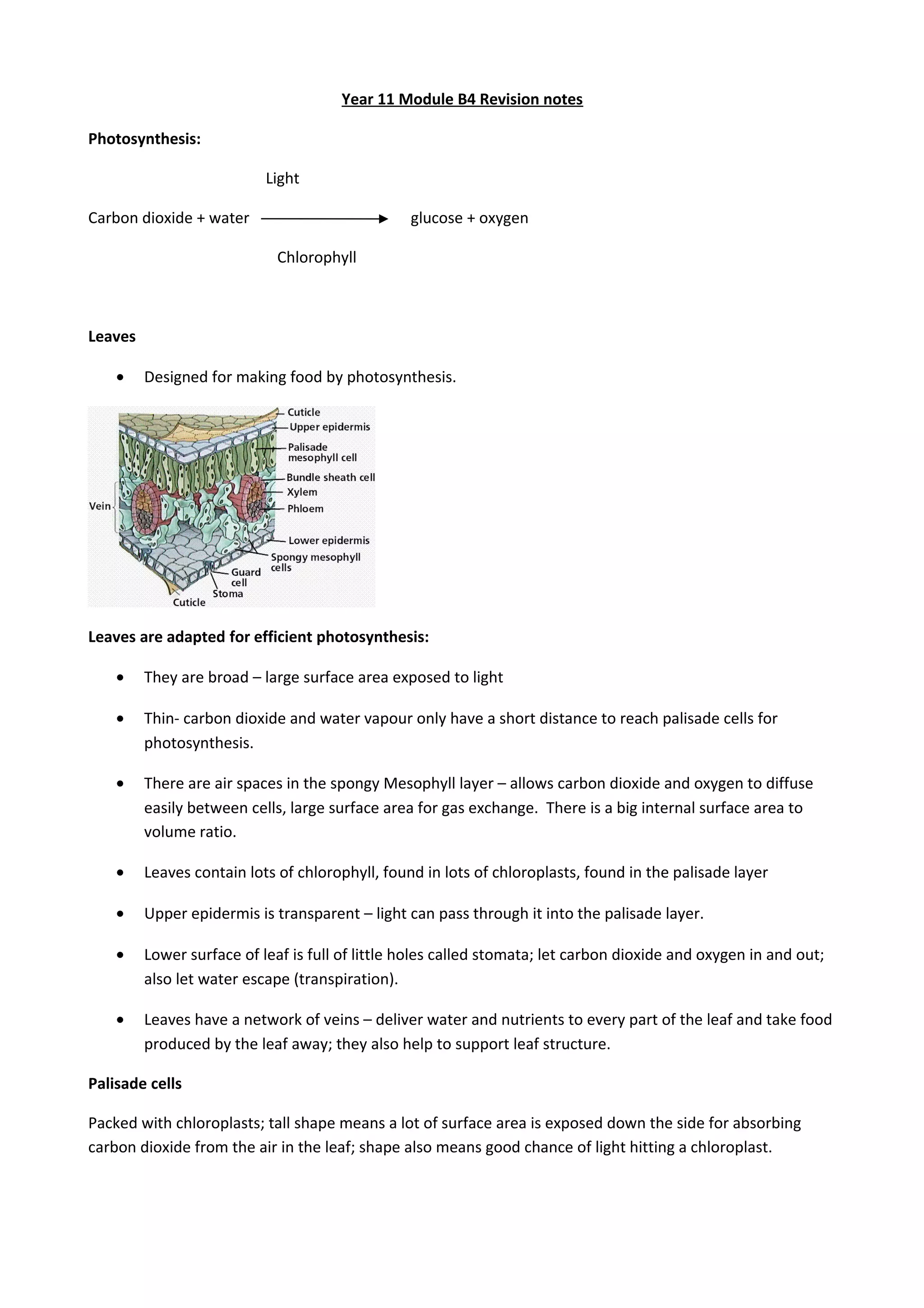 Year 11 Module B4 Revision Notes | DOC