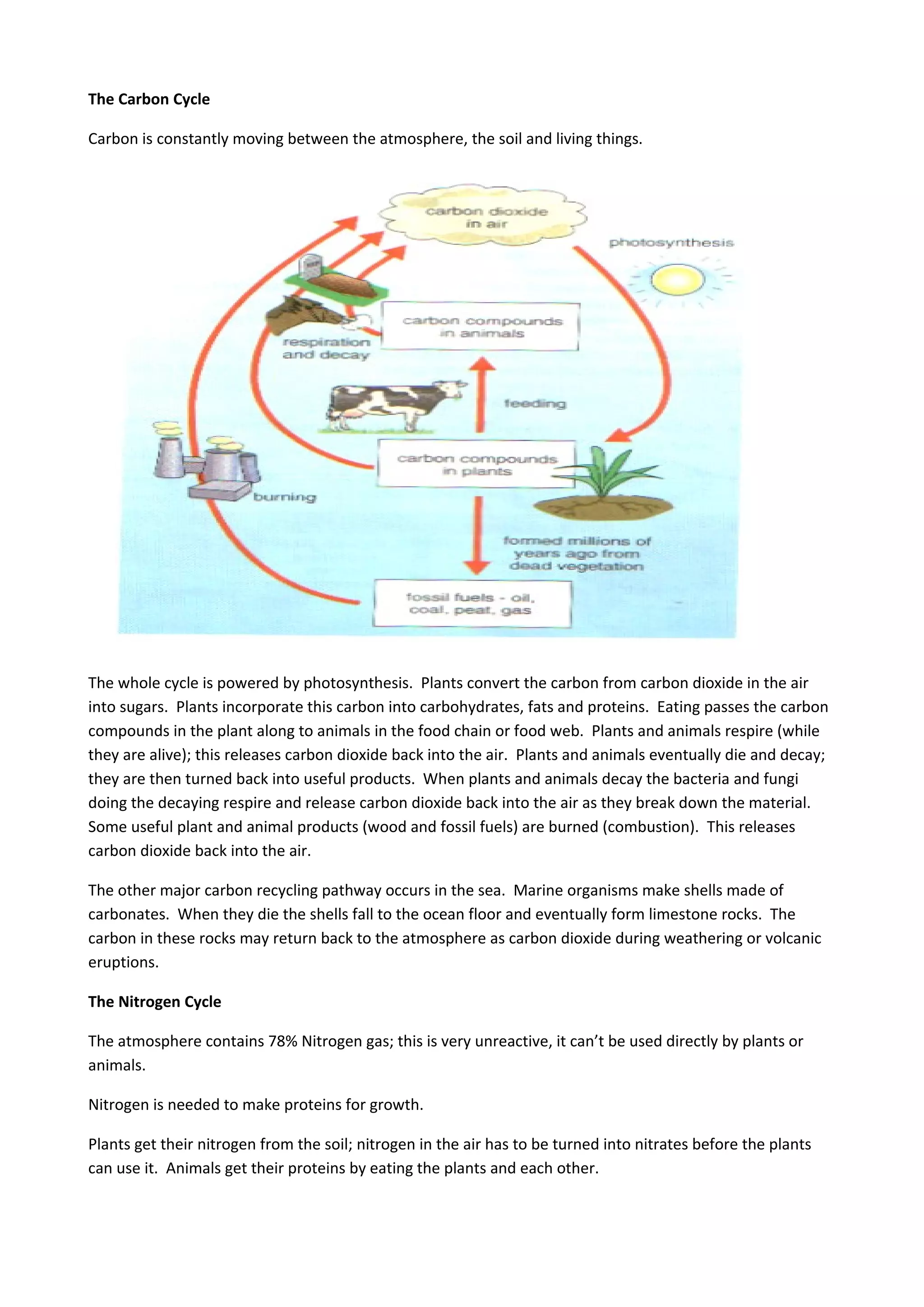 Year 11 Module B4 Revision Notes | DOC